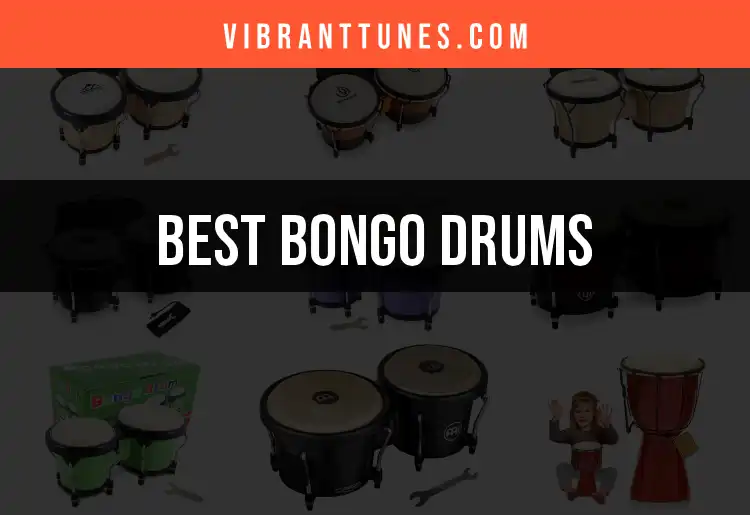 12 Bongo Drums You Need to Elevate Your Sound