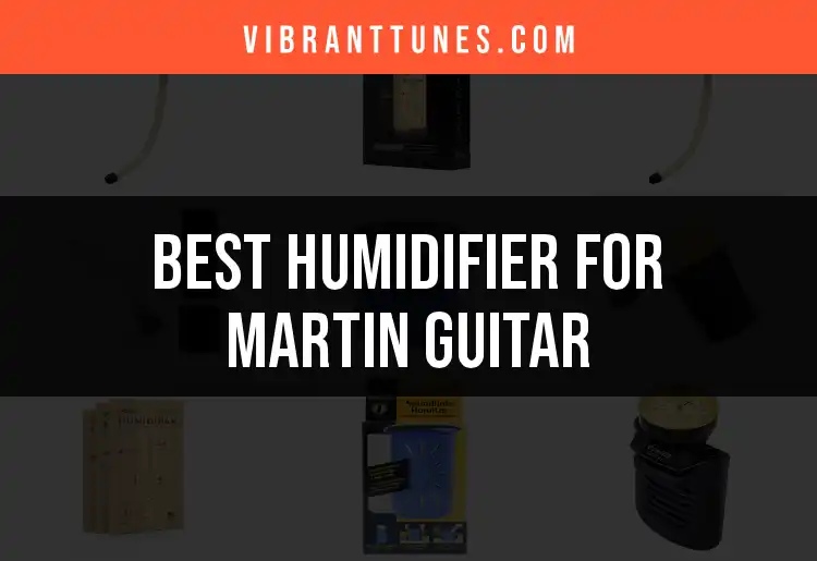 11 Best Humidifiers for Your Martin Guitar